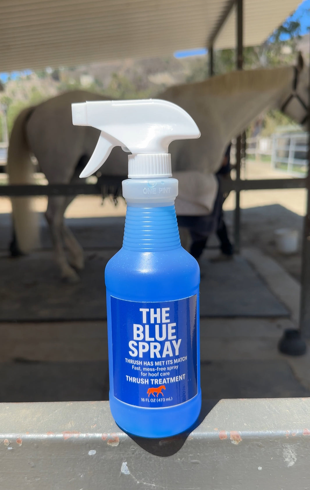 Thrush Treatment & Prevention for Horse Hooves – The Blue Spray