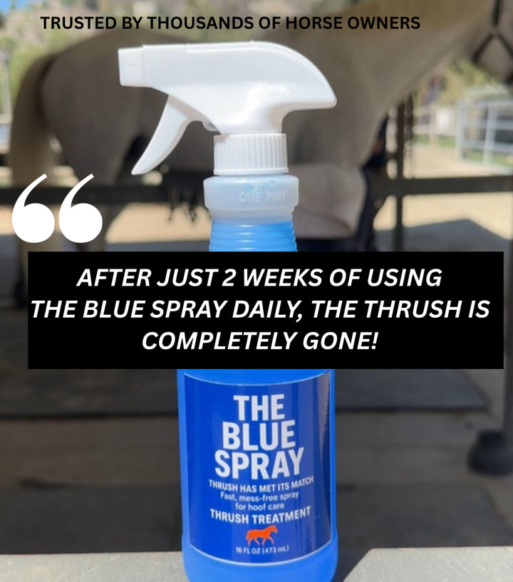 Thrush Treatment & Prevention for Horse Hooves – The Blue Spray