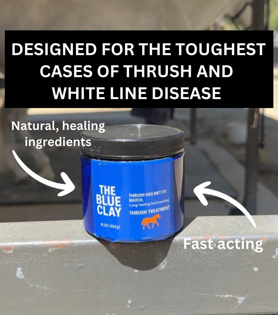 Thrush Treatment & Prevention for Horse Hooves – The Blue Spray