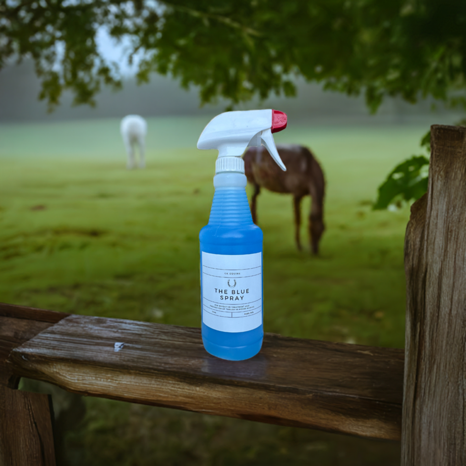 Thrush Treatment & Prevention for Horse Hooves – The Blue Spray