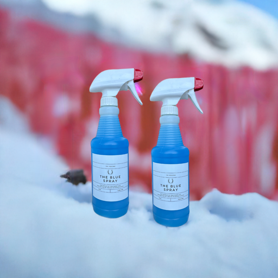 Thrush Treatment & Prevention for Horse Hooves – The Blue Spray